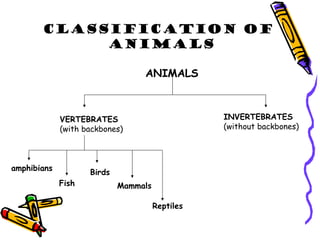 biodiversity Science Form 2/ Kepelbagaian | PPT