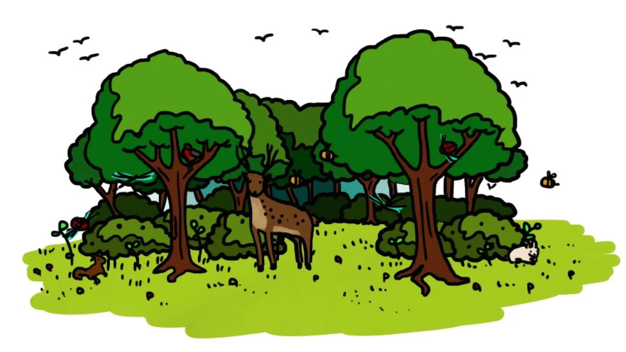 BIODIVERSITY SCIENCE GRADE 9 LESON .pptx