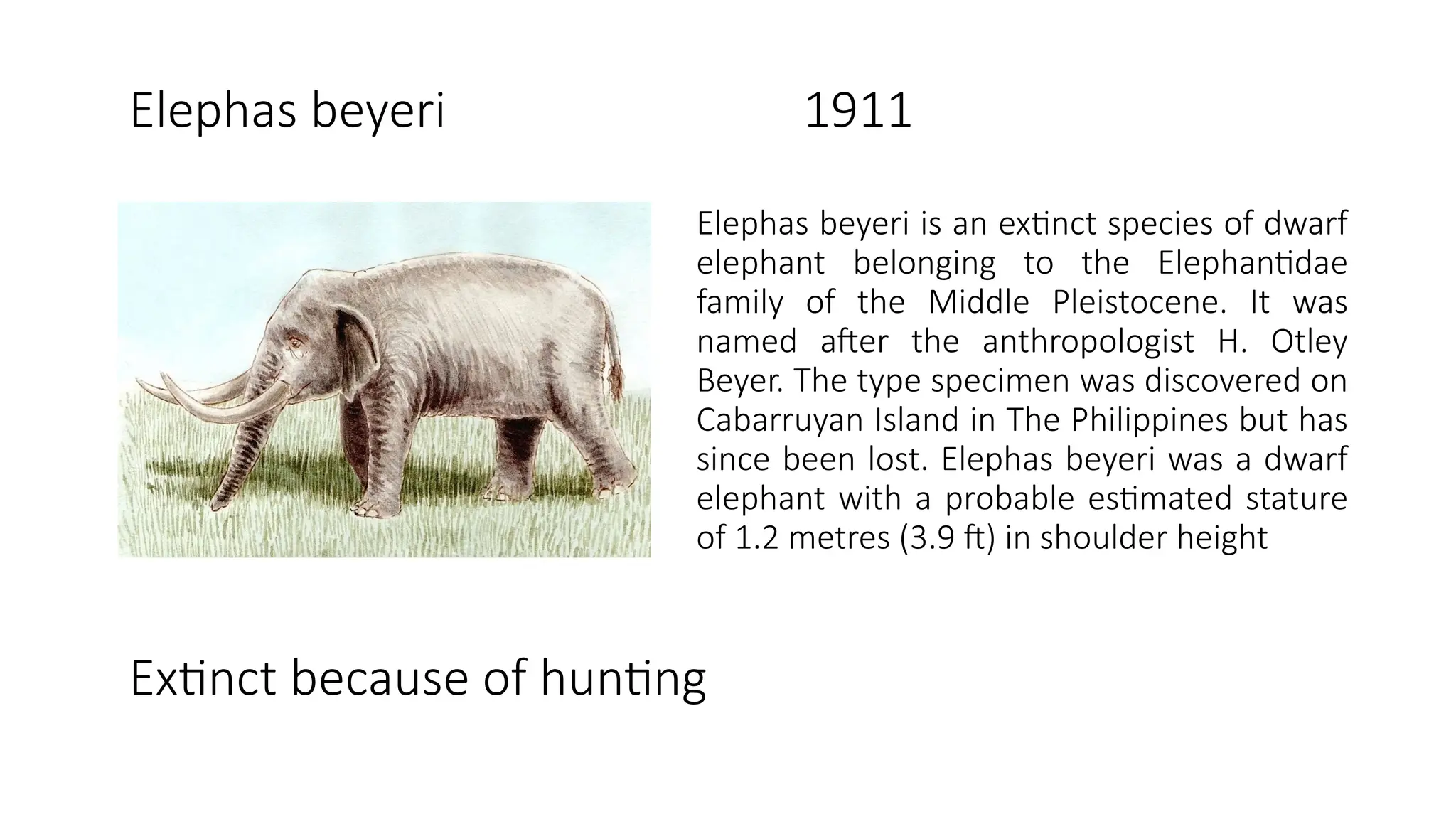 BIODIVERSITY SCIENCE GRADE 9 LESON .pptx