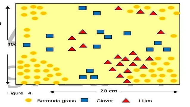 BIODIVERSITY SCIENCE GRADE 9 LESON .pptx