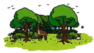 BIODIVERSITY SCIENCE GRADE 9 LESON .pptx