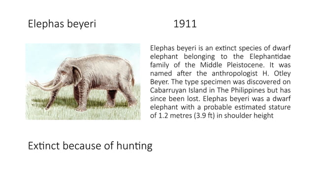 BIODIVERSITY SCIENCE GRADE 9 LESON .pptx