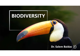 Biodiversity | PPT