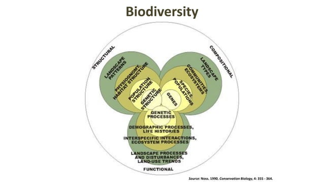 Biodiversity.pdf conservation biology course | PPT