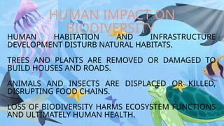BIODIVERSITY (Science, Technology and Society) | PPTX