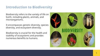 Biodiversity power point presentations for science and social science ...