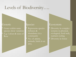 Biodiversity of nature in environmental studies.pptx
