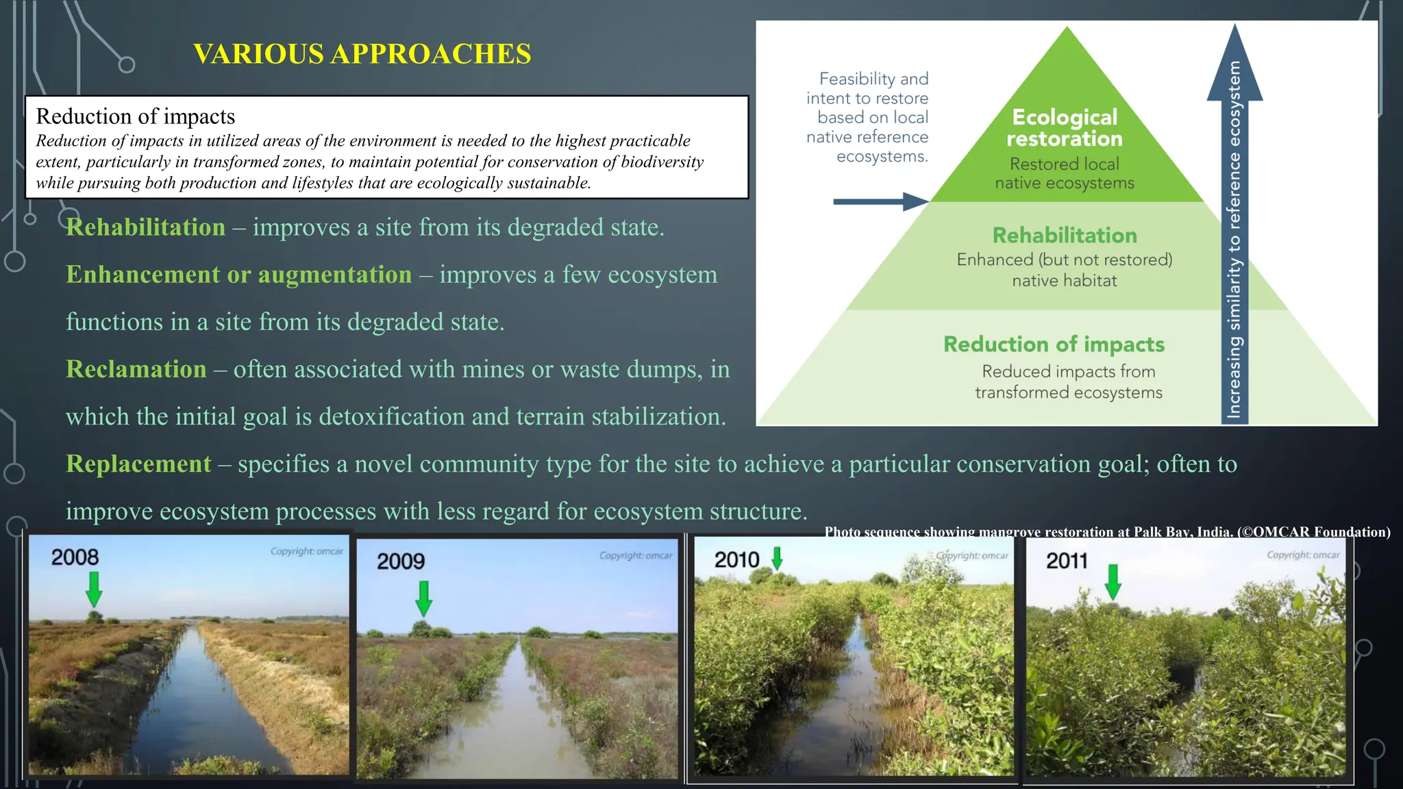 Important terms in biodiversity conservation | PPT