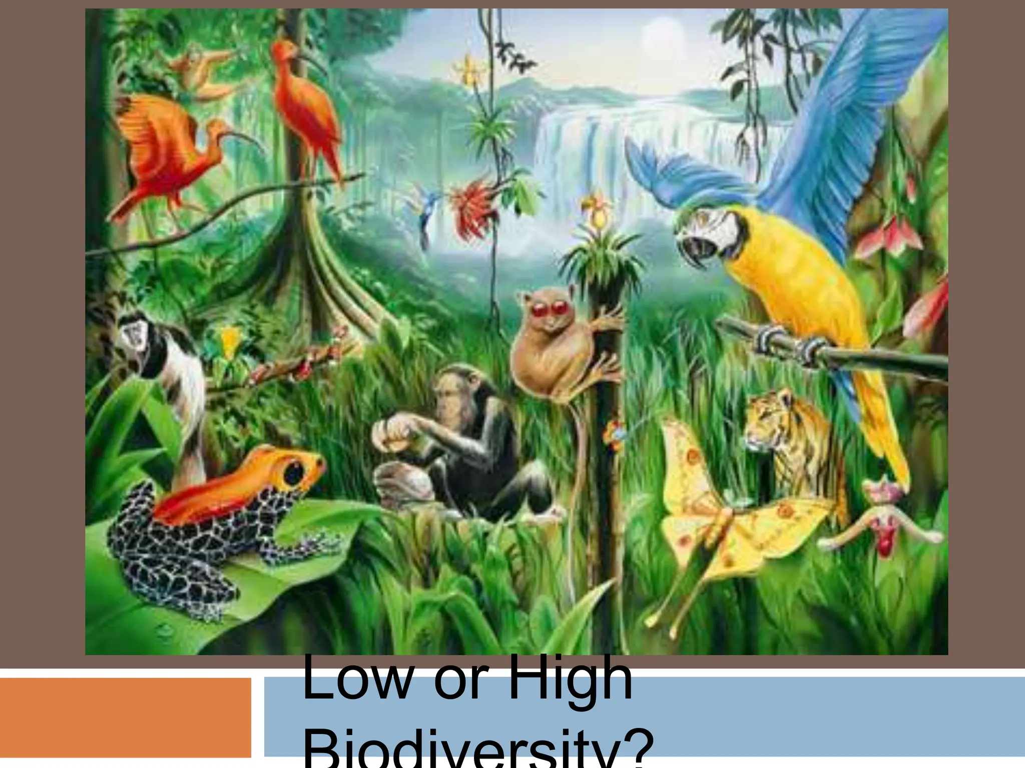 biodiversity-and-ecosystem-stability.ppt