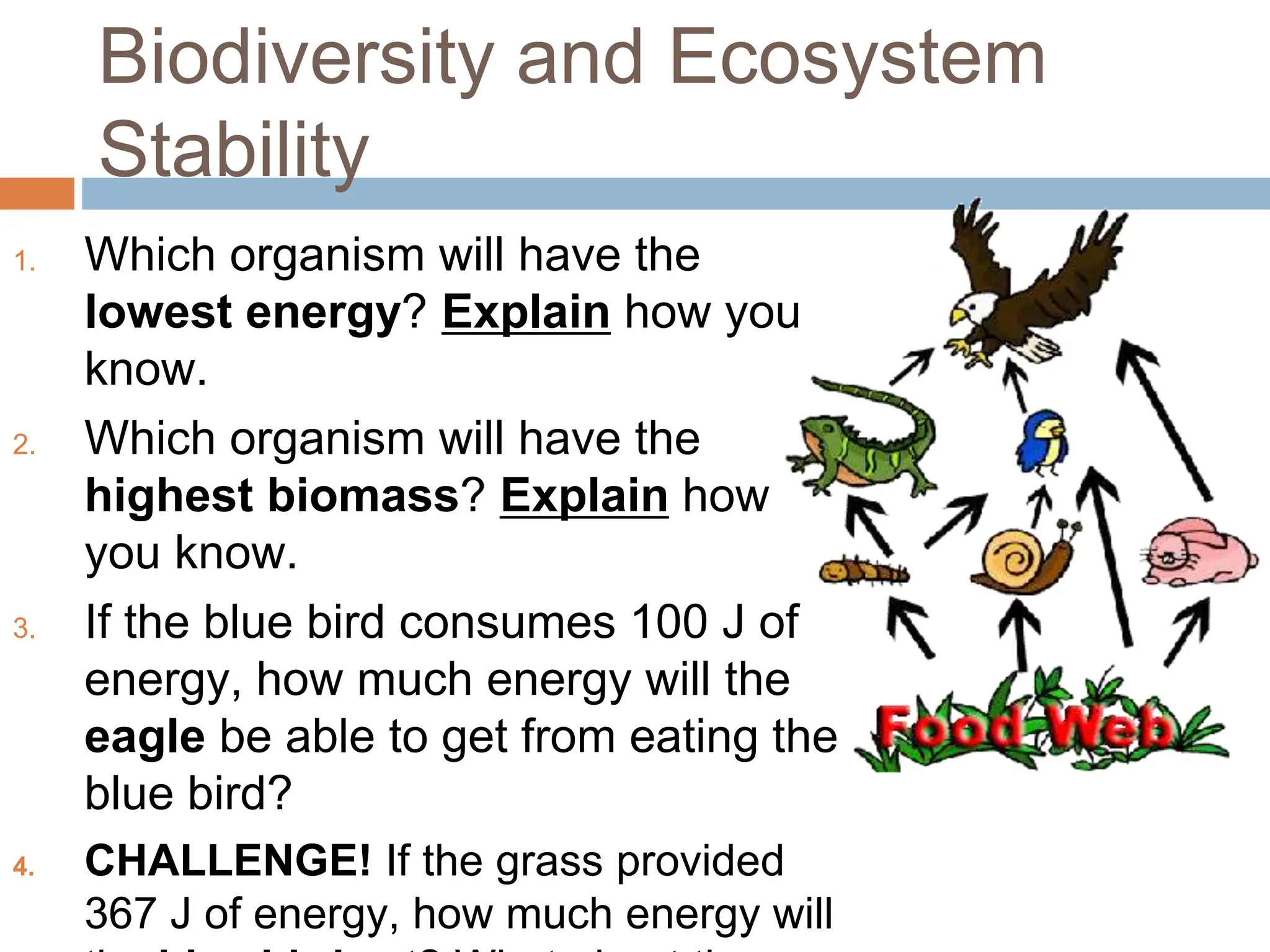 biodiversity-and-ecosystem-stability.ppt