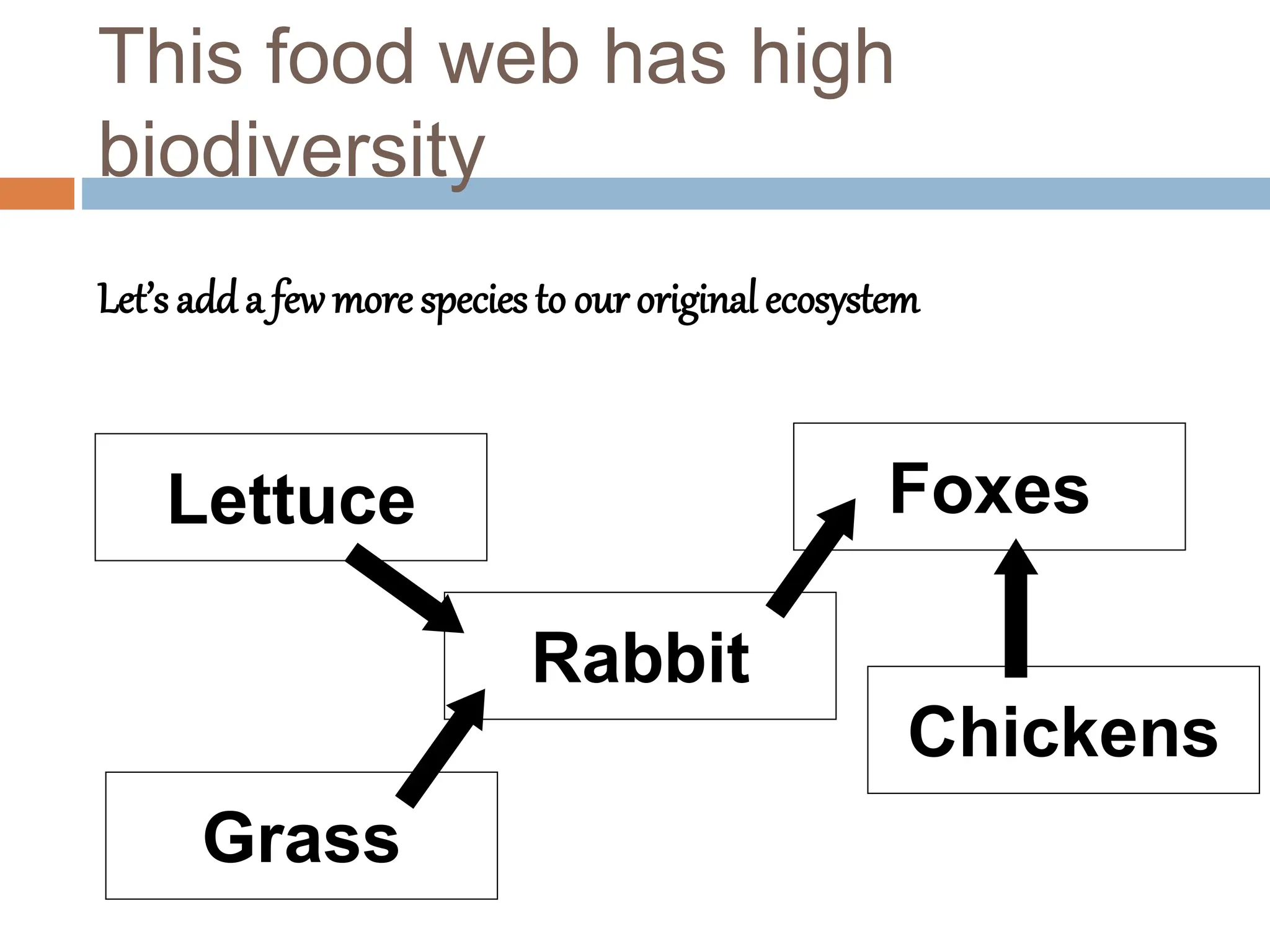 biodiversity-and-ecosystem-stability.ppt