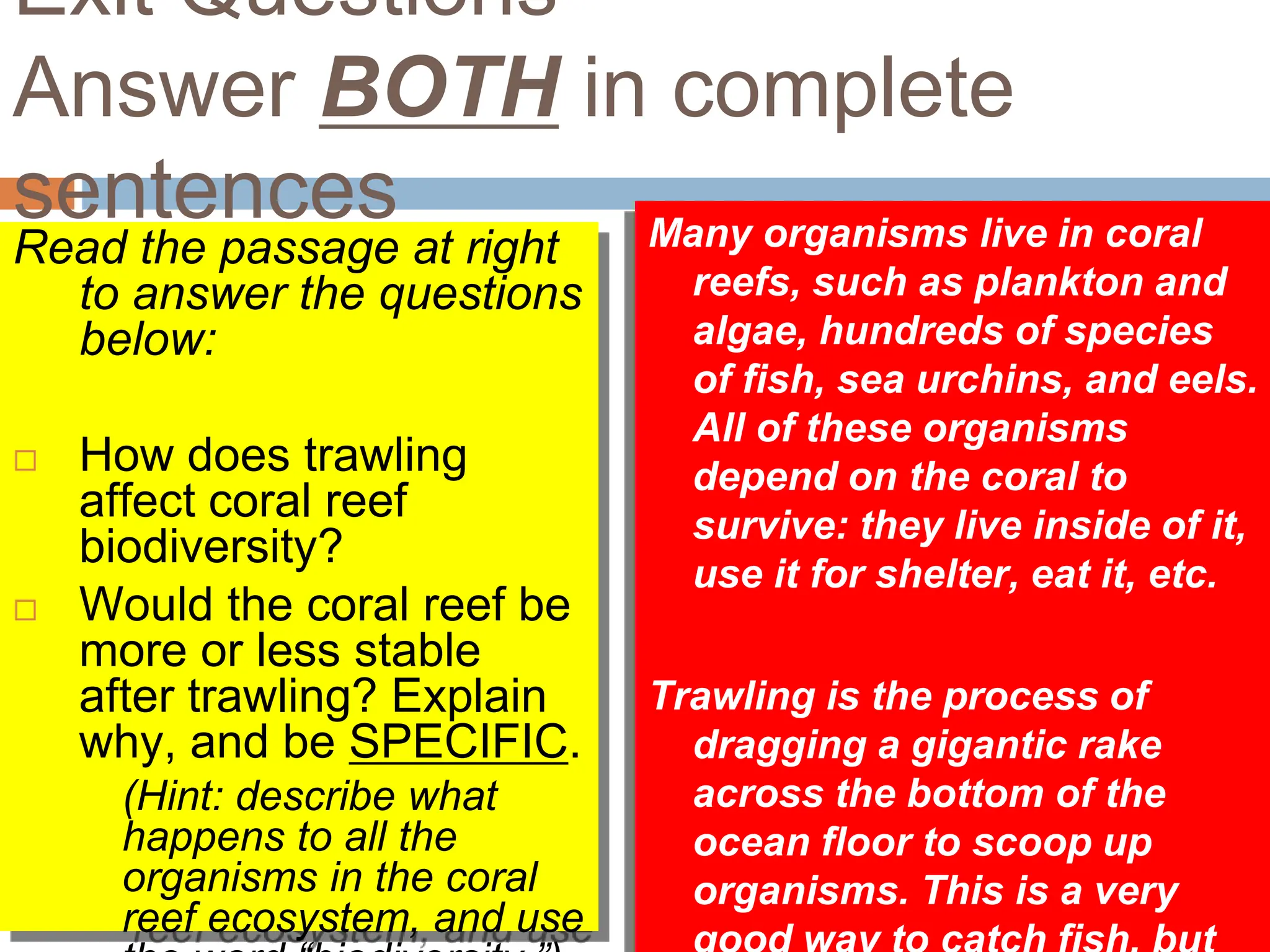 biodiversity-and-ecosystem-stability.ppt