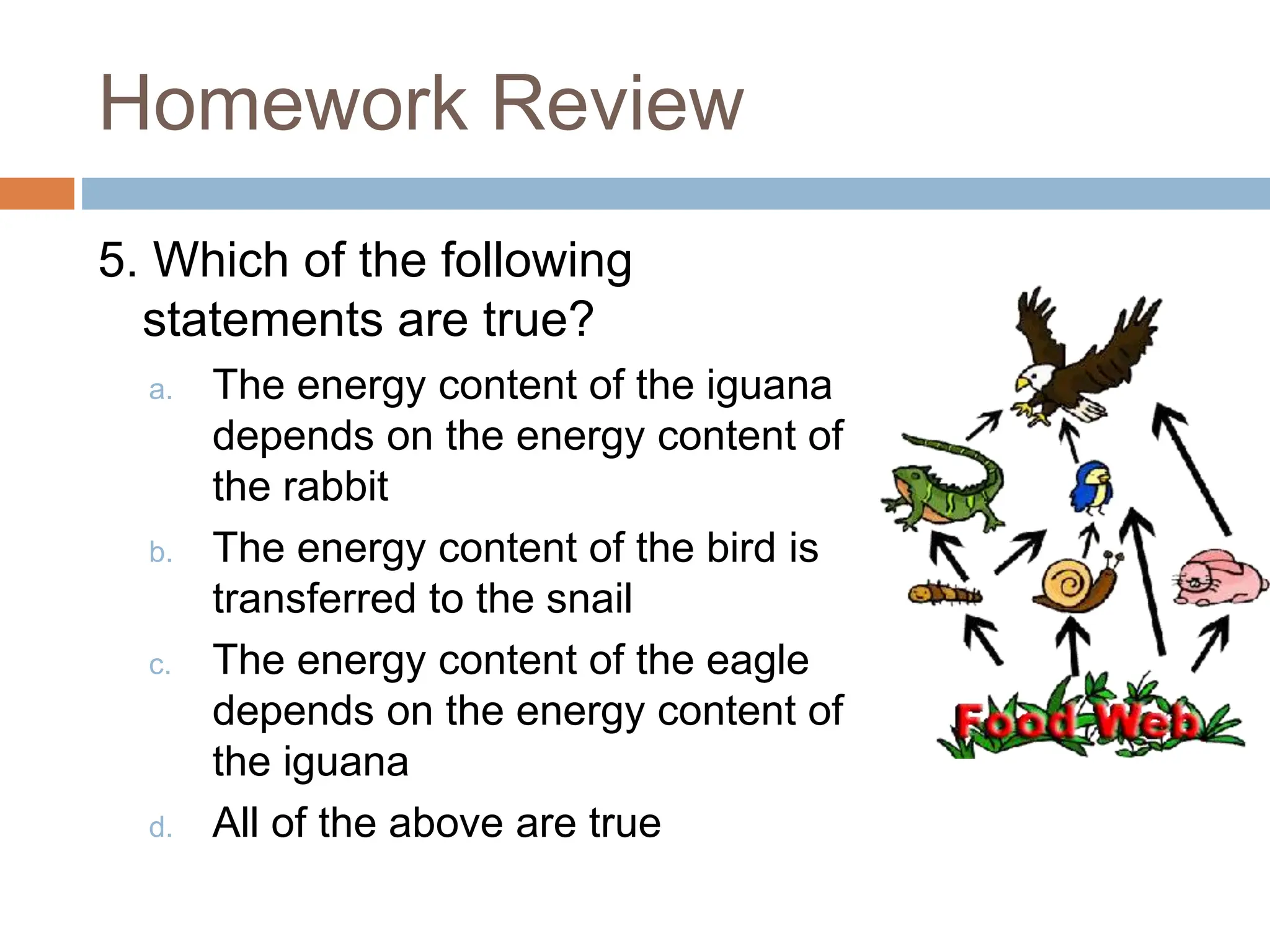 biodiversity-and-ecosystem-stability.ppt