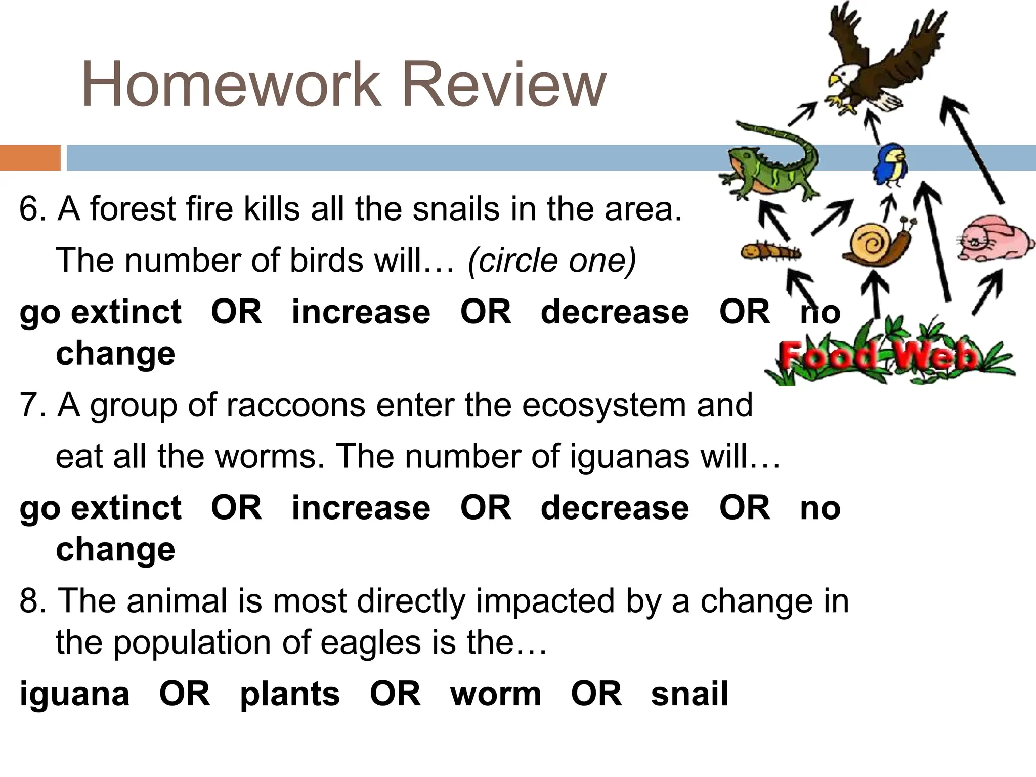 biodiversity-and-ecosystem-stability.ppt