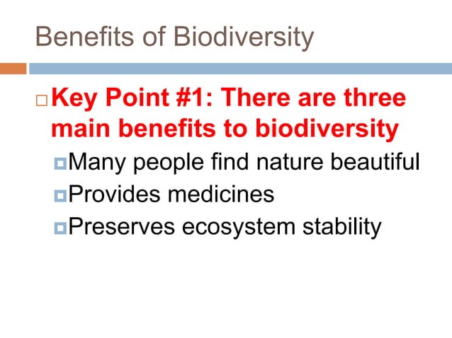 biodiversity-and-ecosystem-stability.ppt