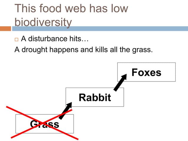 biodiversity-and-ecosystem-stability.ppt