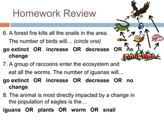 biodiversity-and-ecosystem-stability.ppt