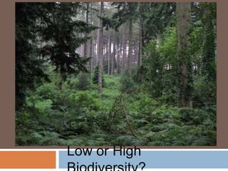 biodiversity-and-ecosystem-stability.ppt