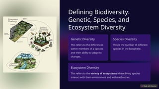 Biodiversity-and-Ecosystem-Stability.pptx