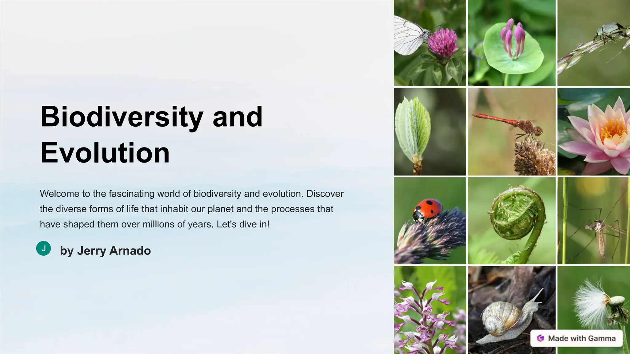 Biodiversity-and-Evolution: Its effects.pptx
