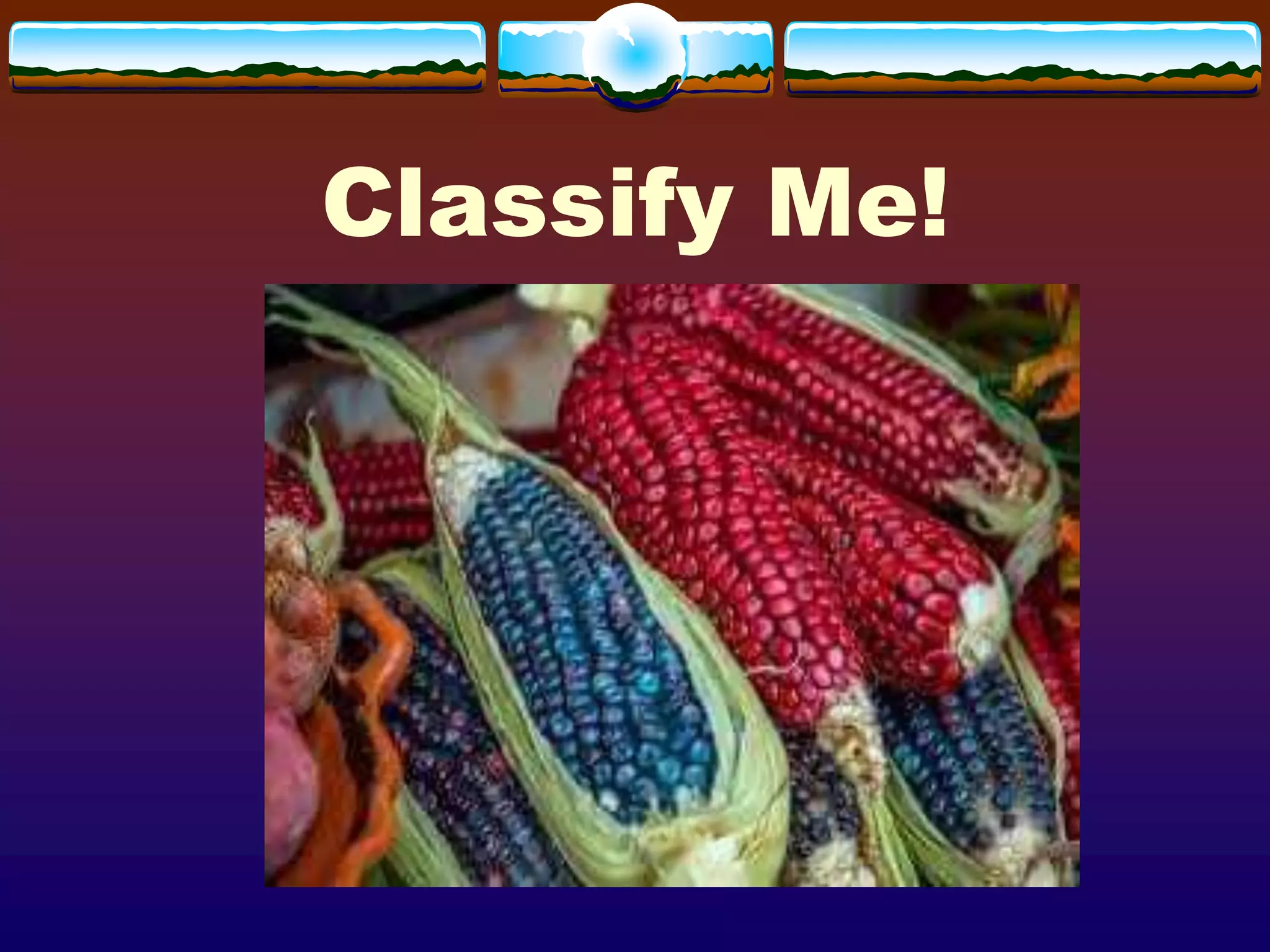 Biodiversity-and-Evolution-NOVA.ppt