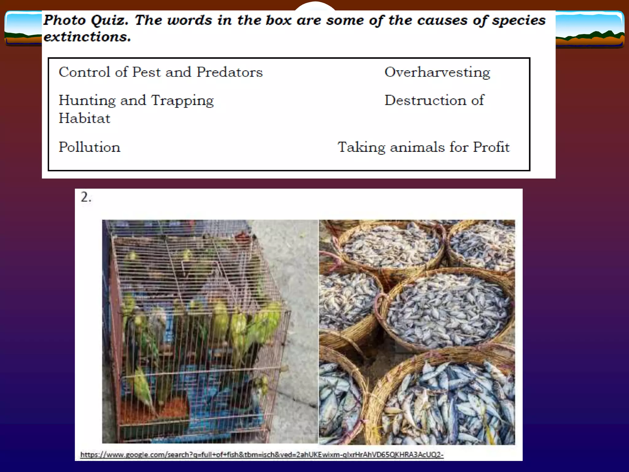 Biodiversity-and-Evolution-NOVA.ppt