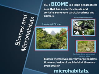 Biodiversity-and-Microhabitats-Final.pptx