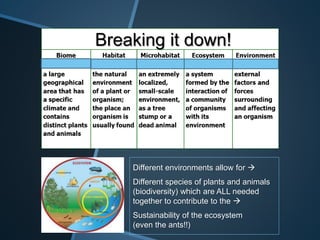 Biodiversity-and-Microhabitats-Final.pptx
