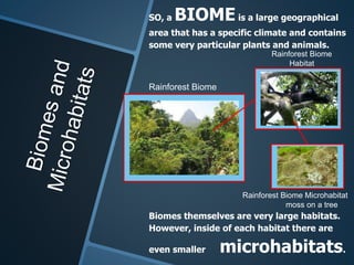 Biodiversity-and-Microhabitats-Final.pptx