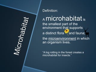 Biodiversity-and-Microhabitats-Final.pptx