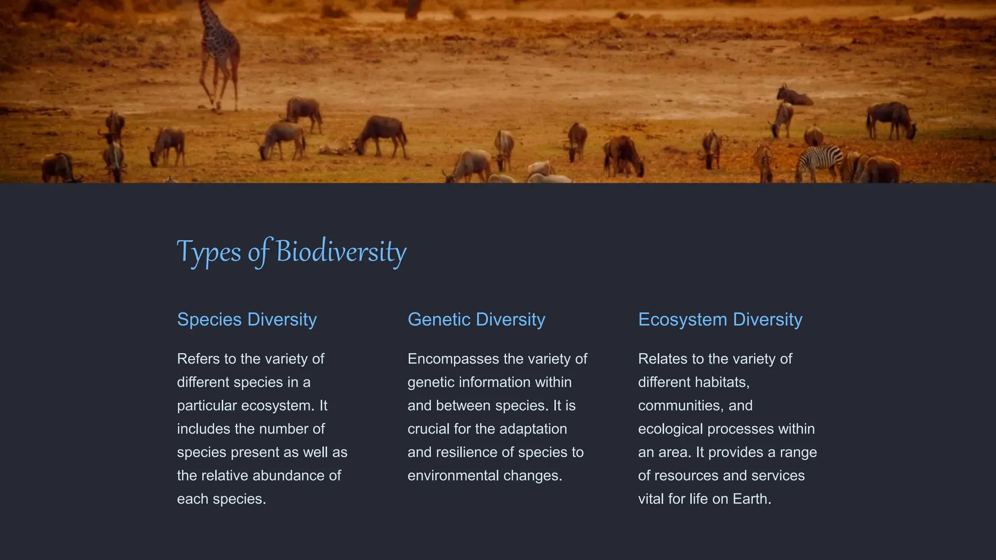 Biodiversity , type of biodiversity , important ance of biodiversity ...