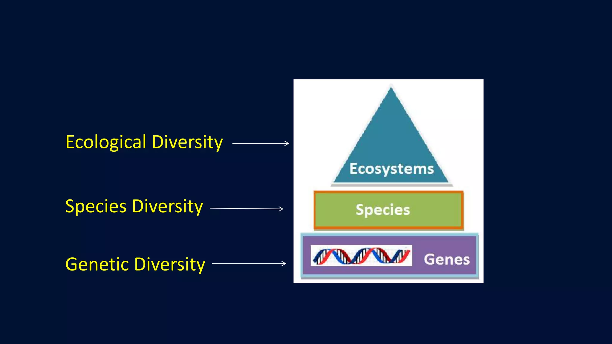 Biodiversity concepts, levels and values | PPTX