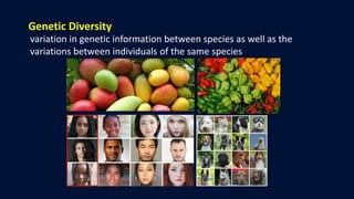 Biodiversity concepts, levels and values | PPTX