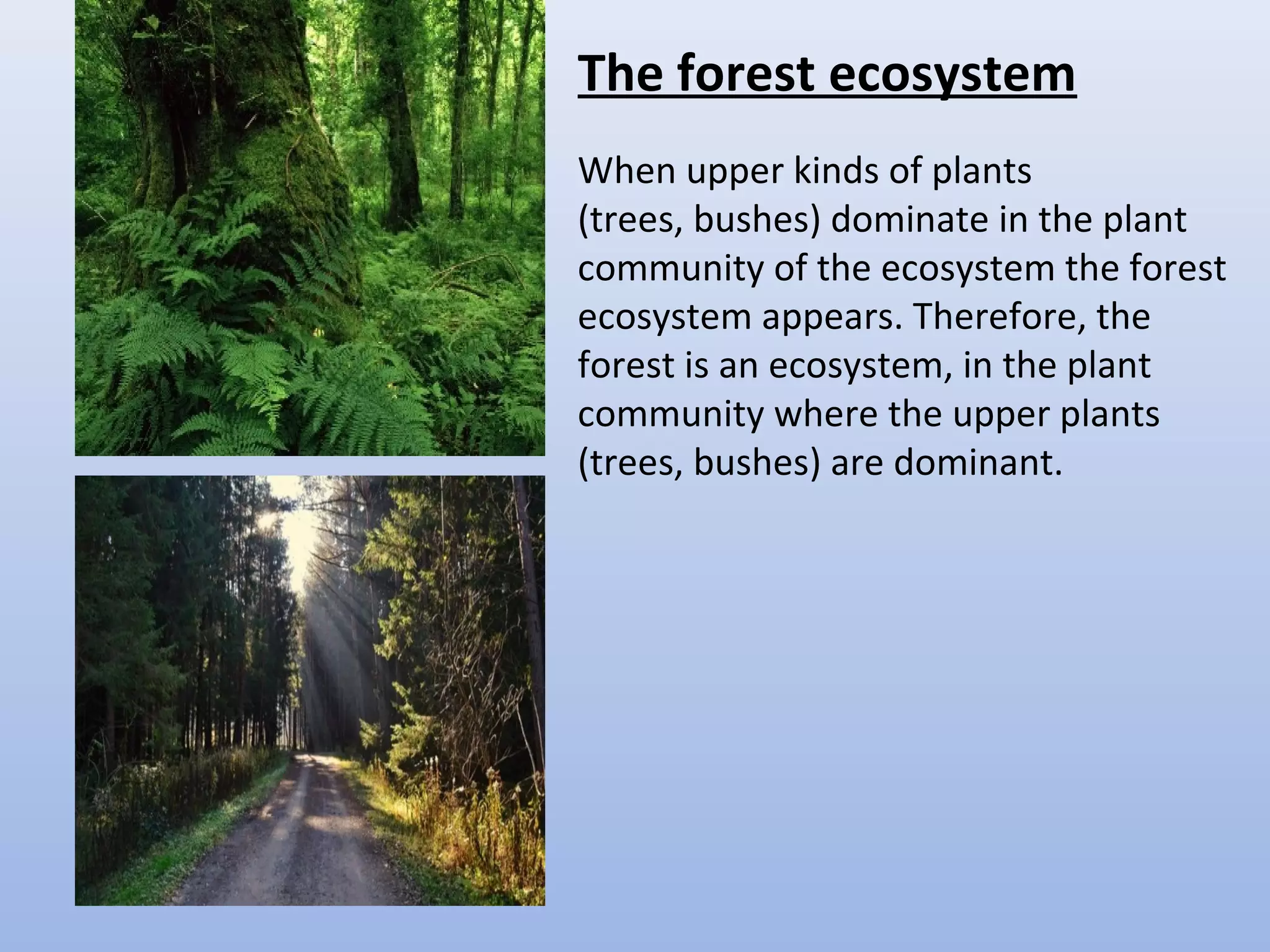 Biodiversity - Ecosystem | PPT