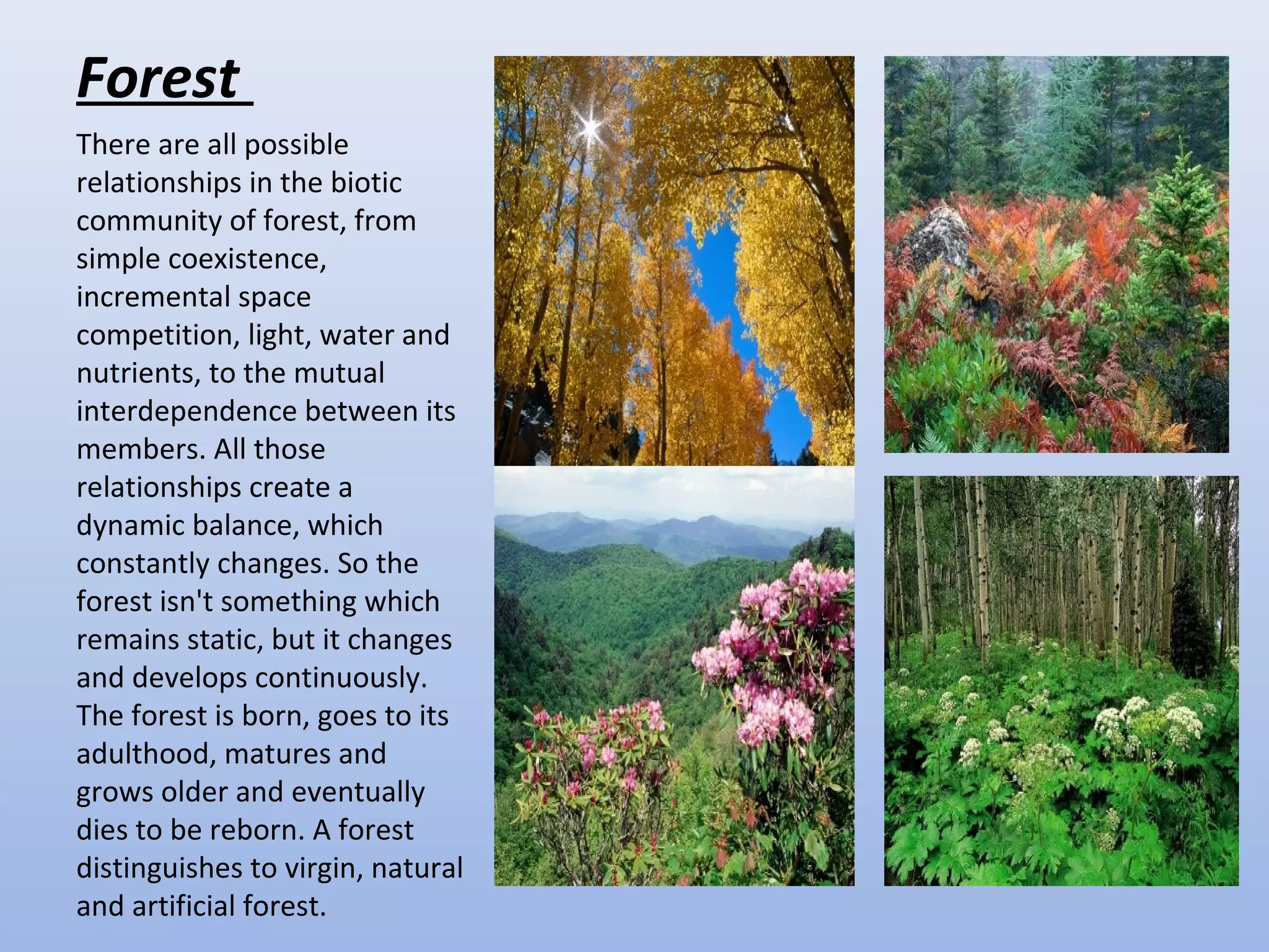 Biodiversity - Ecosystem | PPT