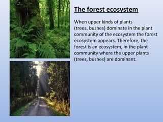 Biodiversity - Ecosystem | PPS