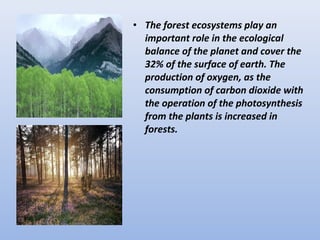 Biodiversity - Ecosystem | PPS