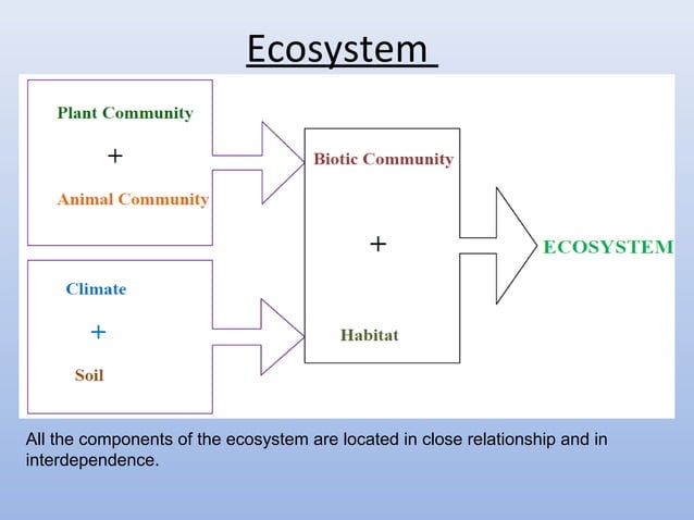 Biodiversity - Ecosystem | PPT