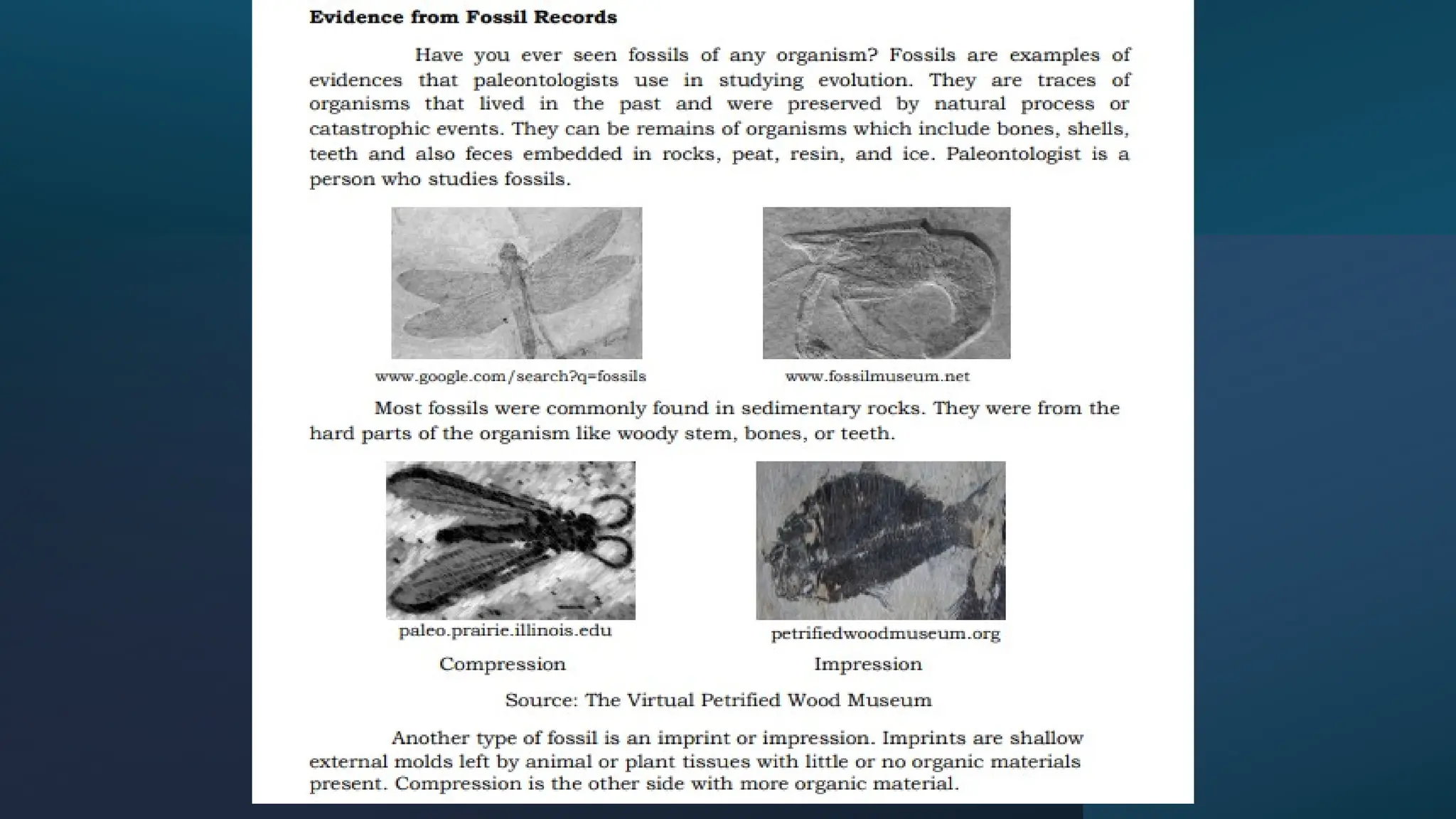 BIODIVERSITY-G10. lesson for grade 10pptx | PPT