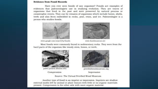 Biodiversity G10 Lesson For Grade 10pptx Pptx