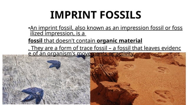 BIODIVERSITY-G10. lesson for grade 10pptx | PPT