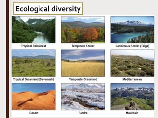 Biodiversity history,levels,estimate. | PPTX