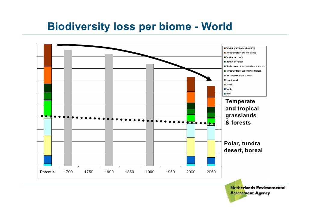 Biodiversity Loss in Thailand