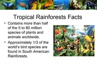Biodiversity and Human Population Growth | PPT
