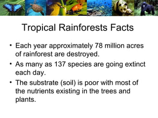 Biodiversity and Human Population Growth | PPT