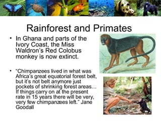 Biodiversity and Human Population Growth | PPT