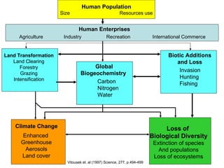 Biodiversity and Human Population Growth | PPT