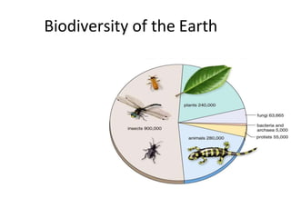 biodiversity -ppt.pptx