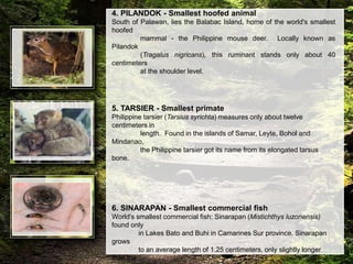 Biodiversity-SIM[772].pptx | Geography | Science