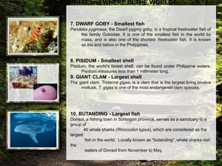 Biodiversity-SIM[772].pptx | Geography | Science